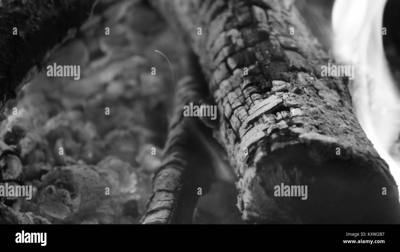 Black and White Burning fire wood. Close-up of glowing coals and fire ...