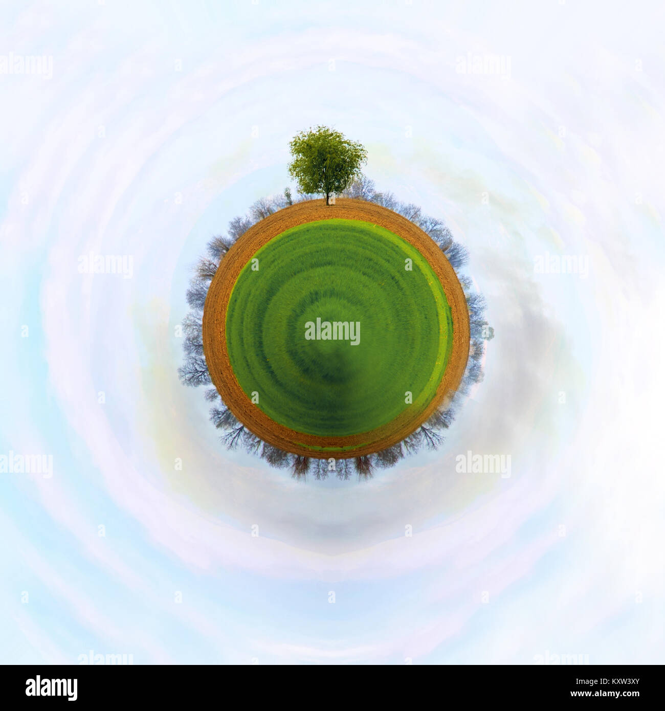 the concept of a small planet with small tree on it, clear blue sky ...