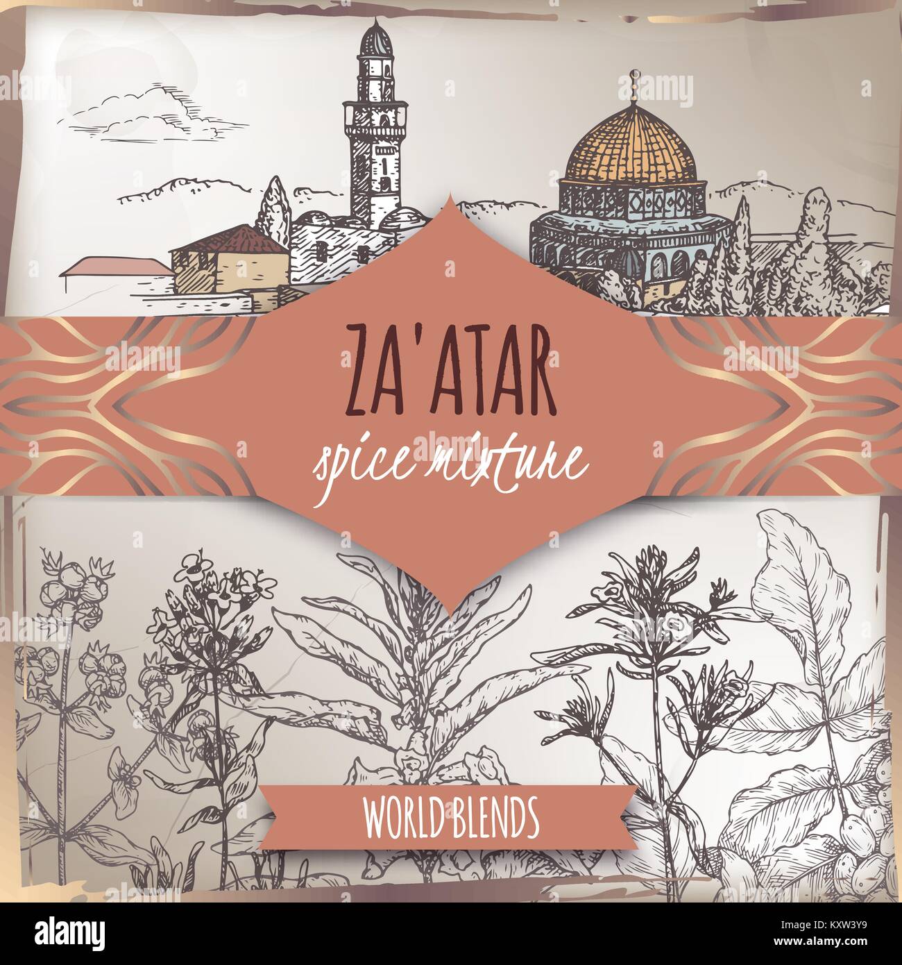 Zaatar israel Stock Vector Images - Alamy