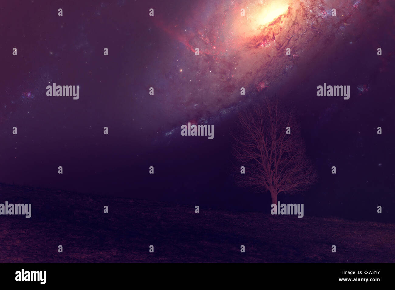 Galaxy over the alone tree silhouette in purple field- elements of this ...
