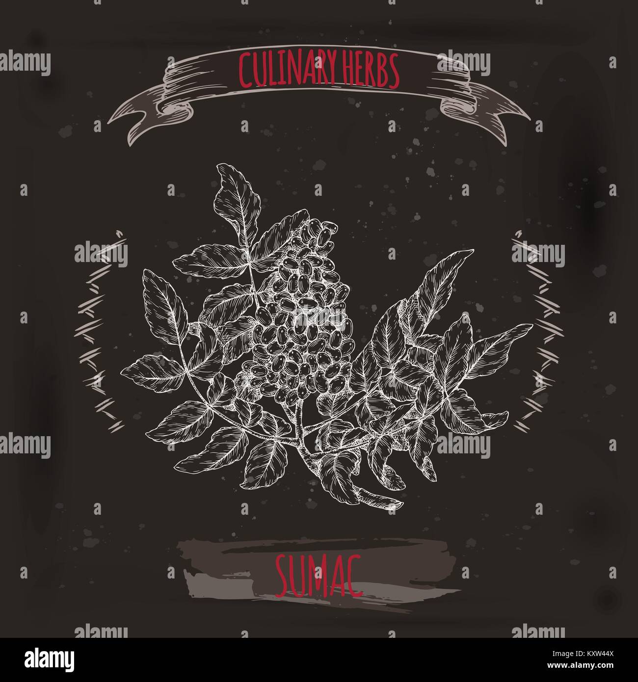 Sumac leaf Stock Vector Images - Alamy