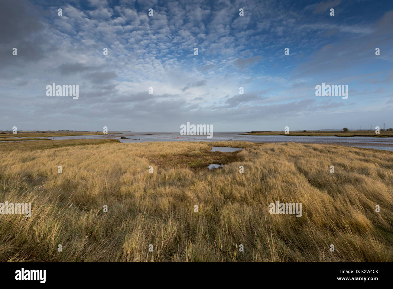 Kent Wildlife Trust's Oare Marshes Nature Reserve on the Swale Estuary ...