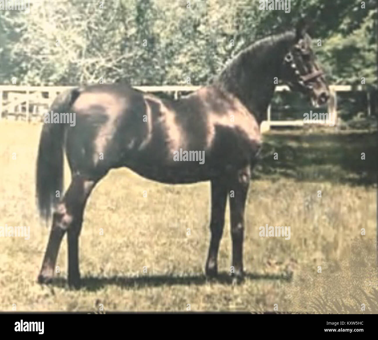 Foxbridge in Great Britain is a location with historical significance ...