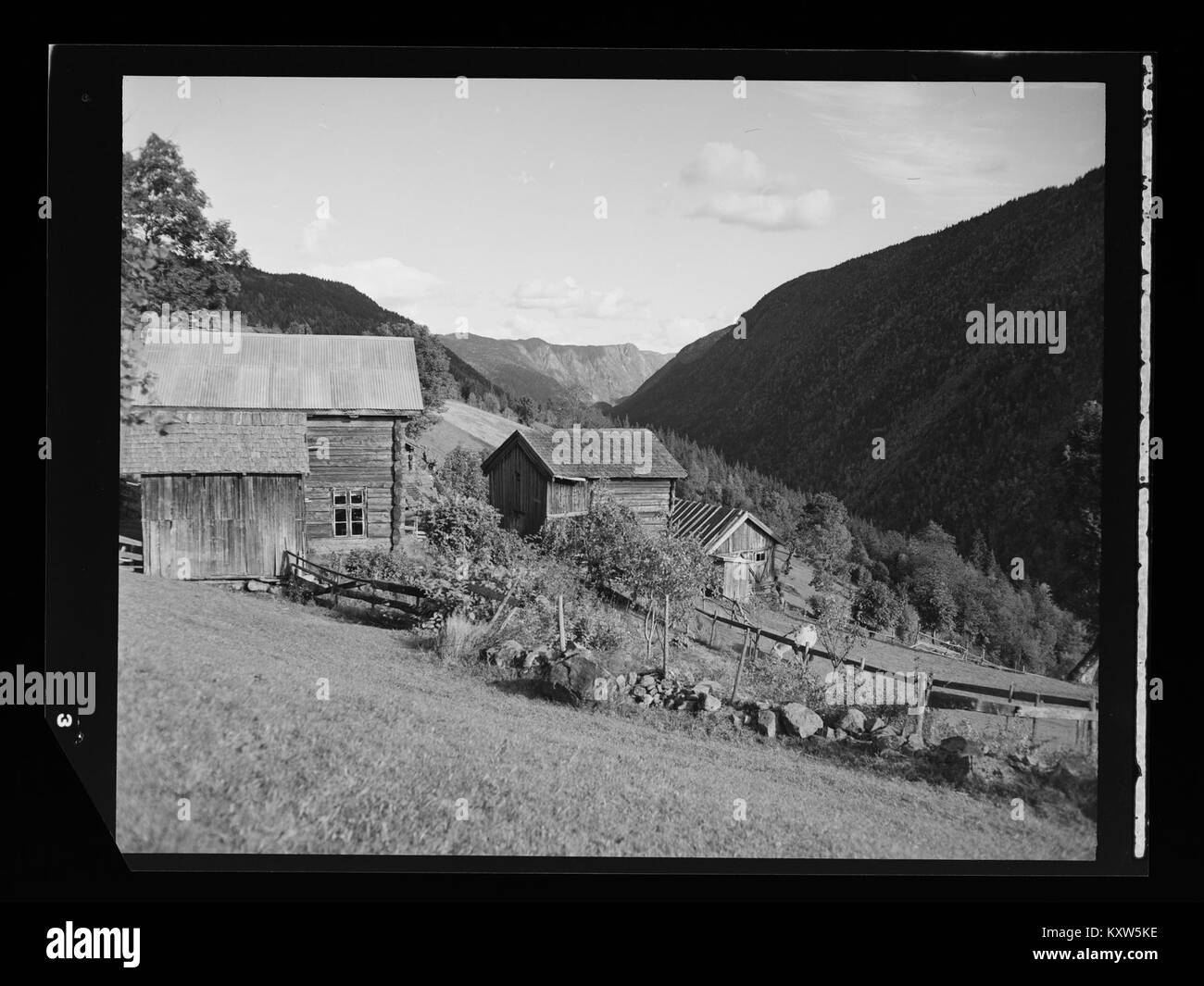 Fra Børte, Mo - no-nb digifoto 20160713 00110 NB MIT FNR 09532 Stock ...