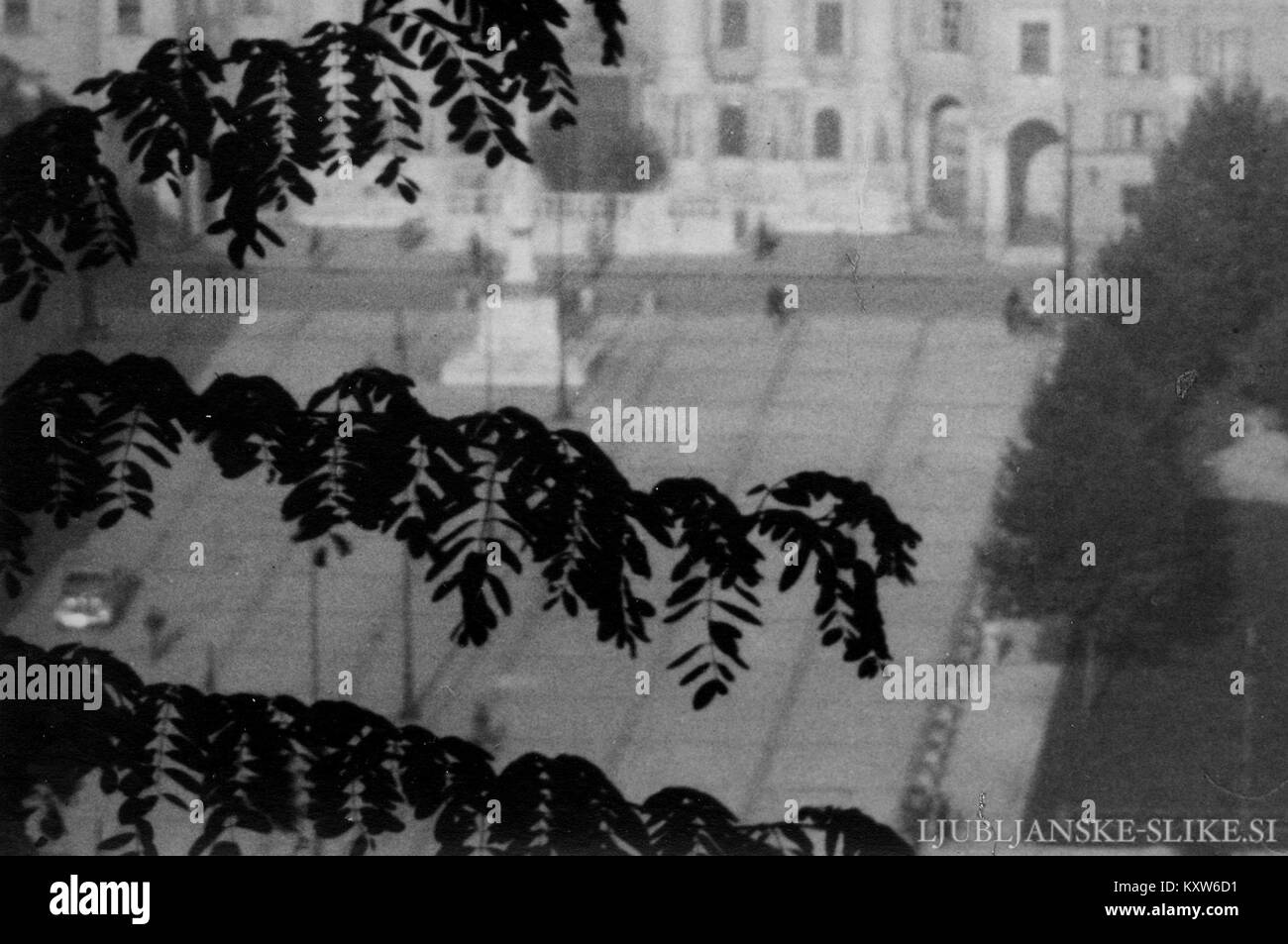 Spring form Black and White Stock Photos & Images - Alamy