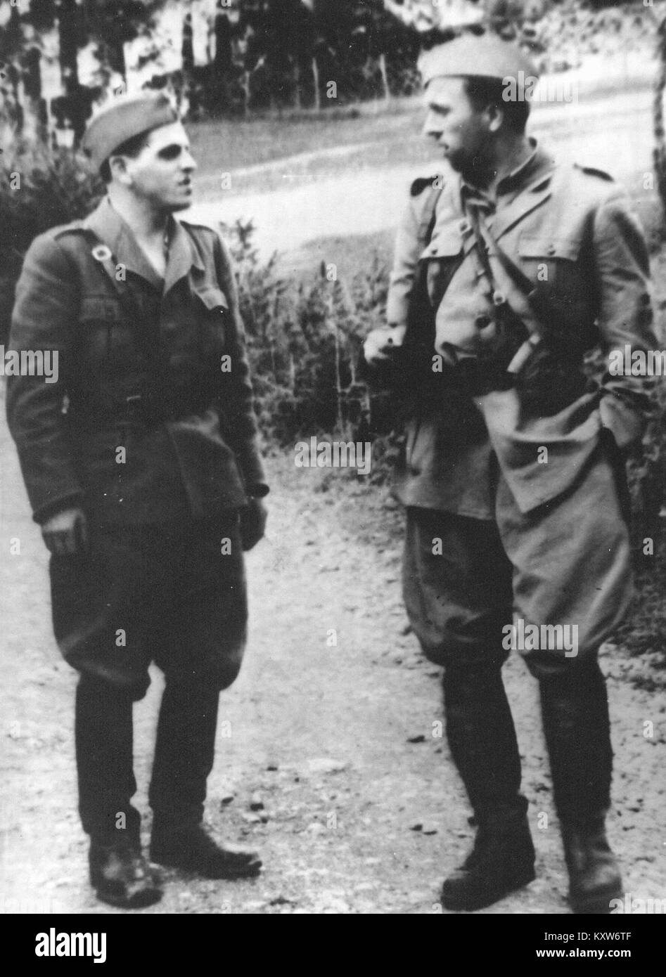 The collaboration between Franc Rozman and Mirko Bracic in this project ...