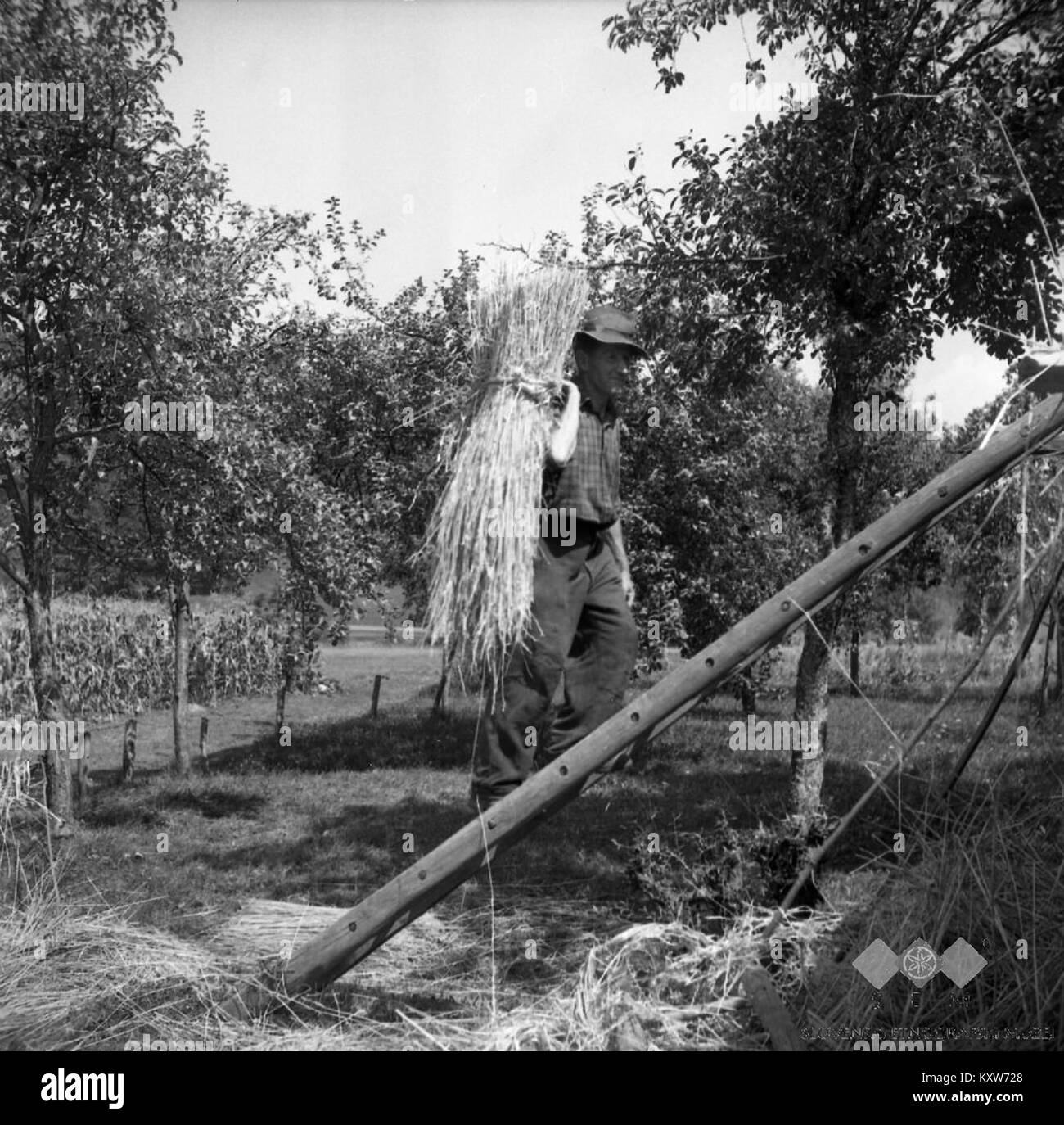 Nese Black and White Stock Photos & Images - Alamy