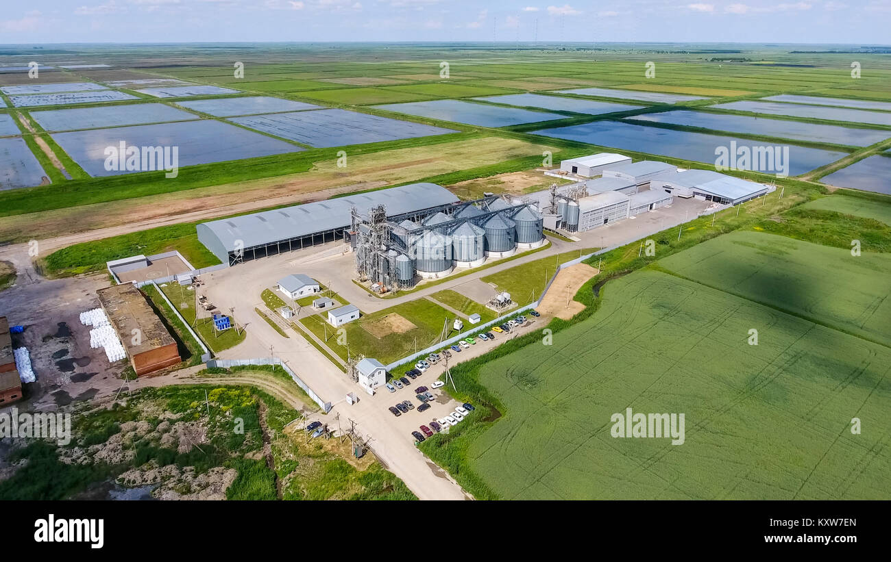 Plant for the drying and storage of grain. Rice plant in the middle of ...