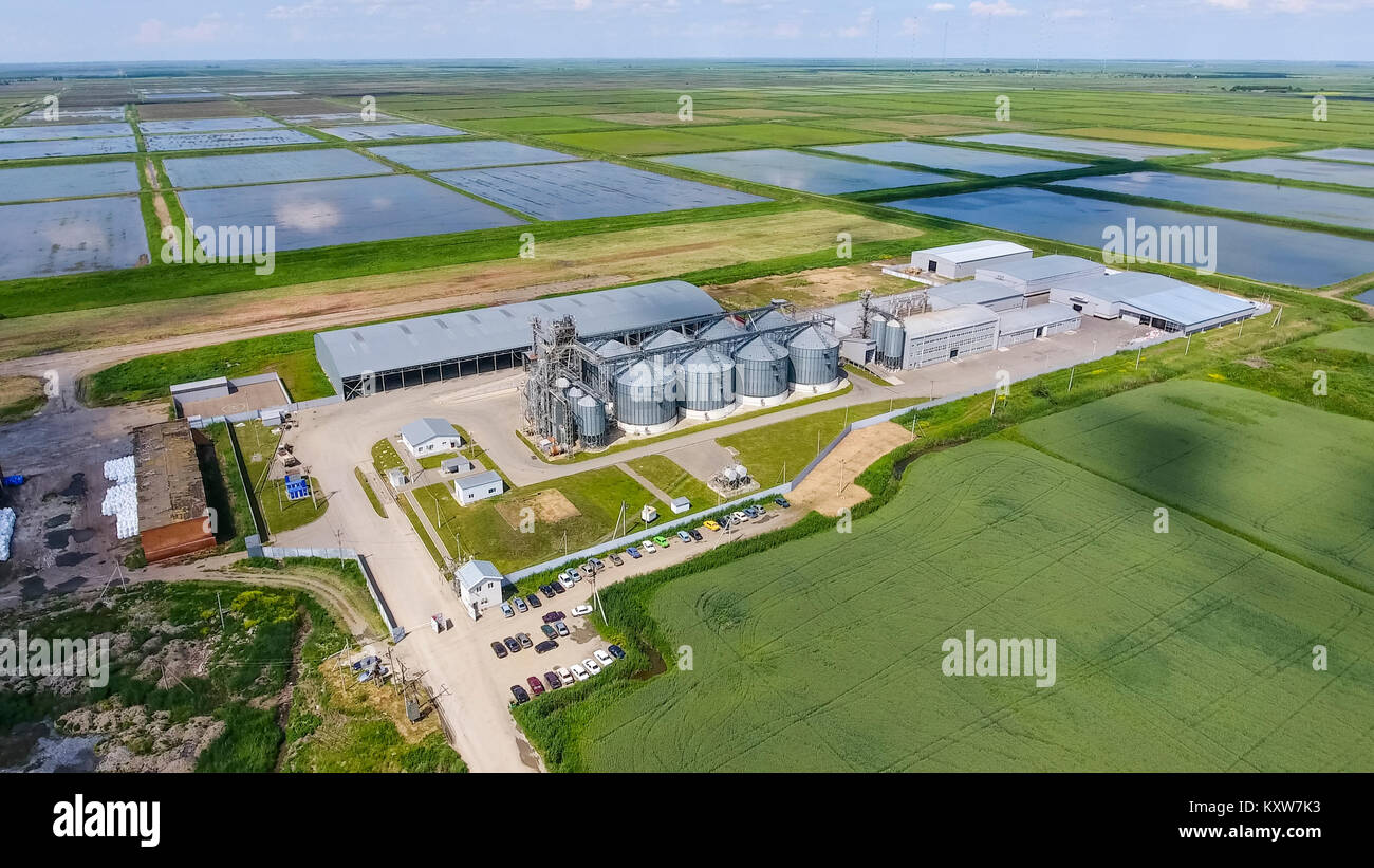 Plant for the drying and storage of grain. Rice plant in the middle of ...