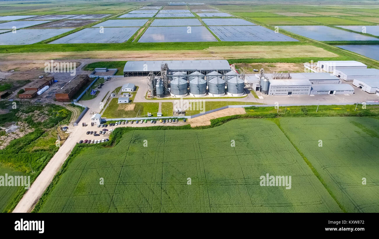 Plant for the drying and storage of grain. Rice plant in the middle of ...