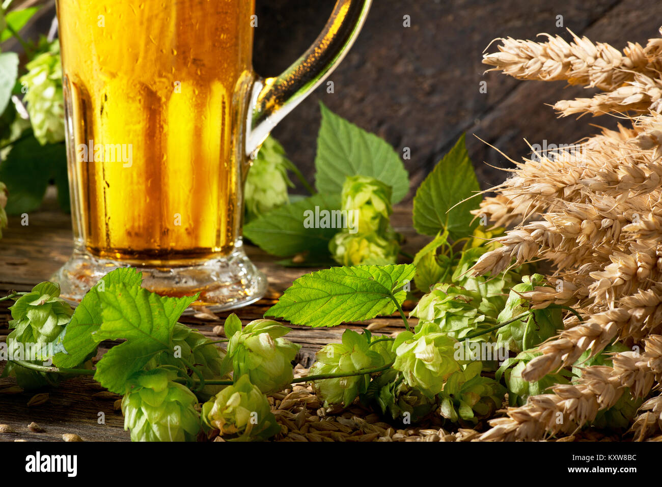Detail of Beer Glass with Hops and Barley Stock Photo - Alamy