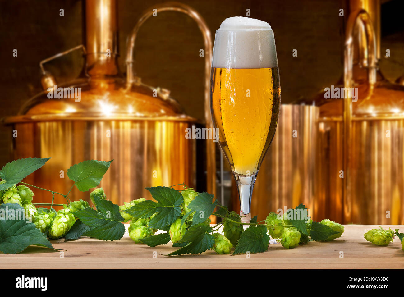 Beer hops boiler hi-res stock photography and images - Alamy