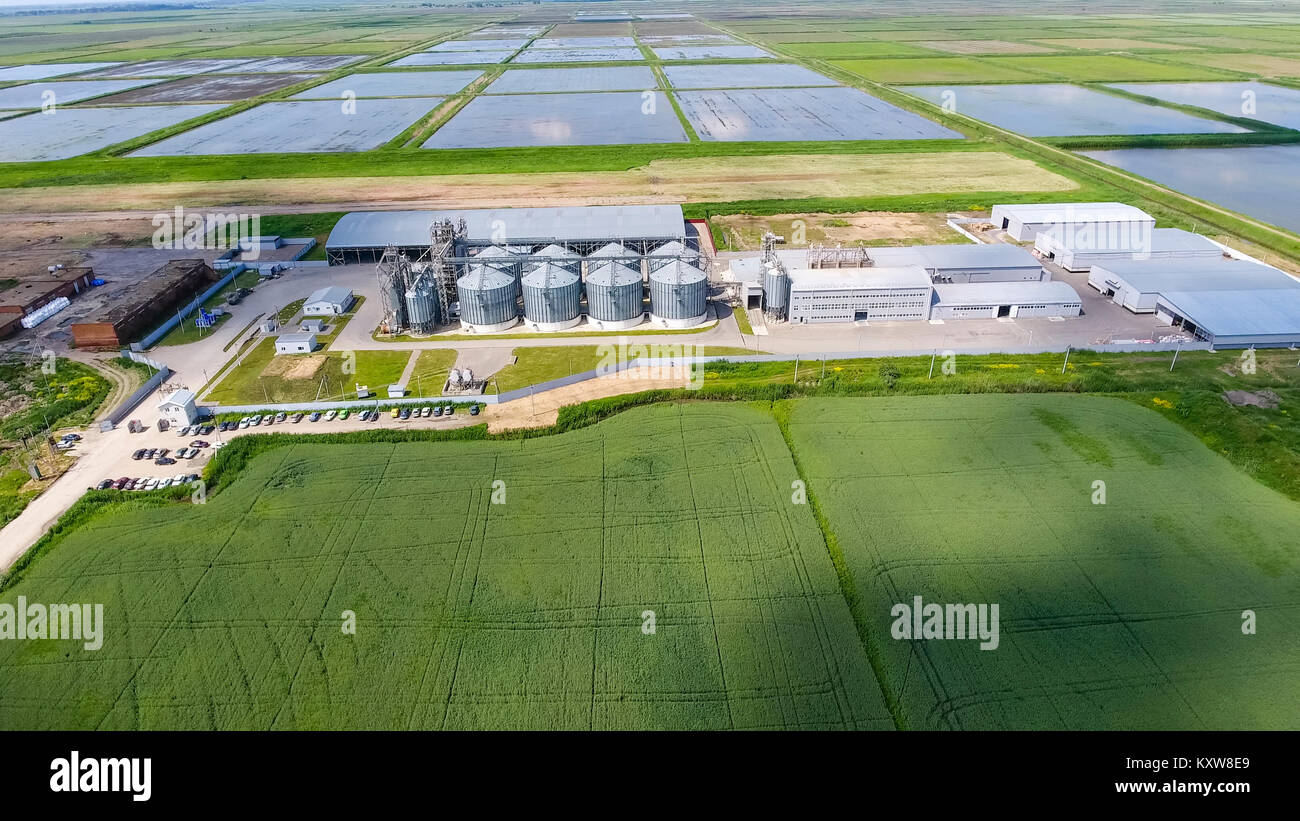 Plant for the drying and storage of grain. Rice plant in the middle of ...