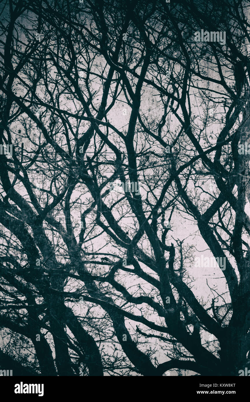 red forest tree nature background fantasy park, evil tree texture Stock ...