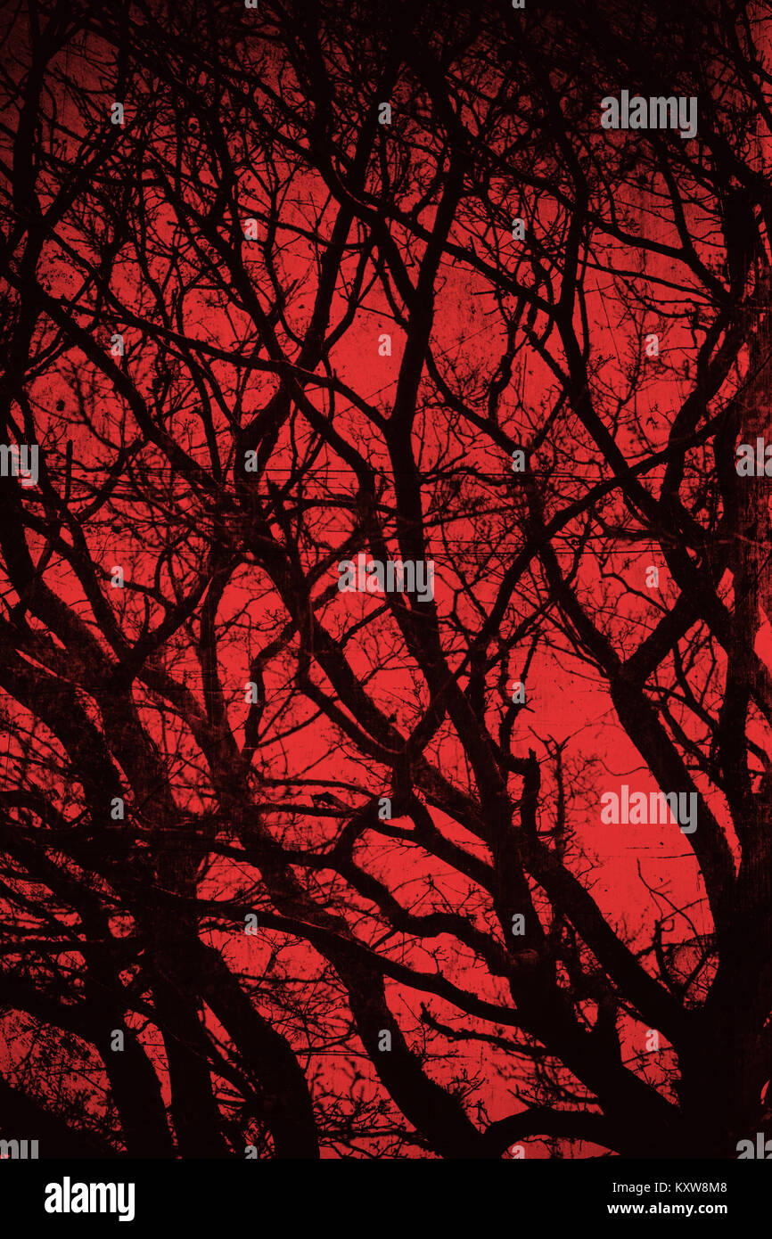 forest tree nature background fantasy park, evil tree texture Stock ...