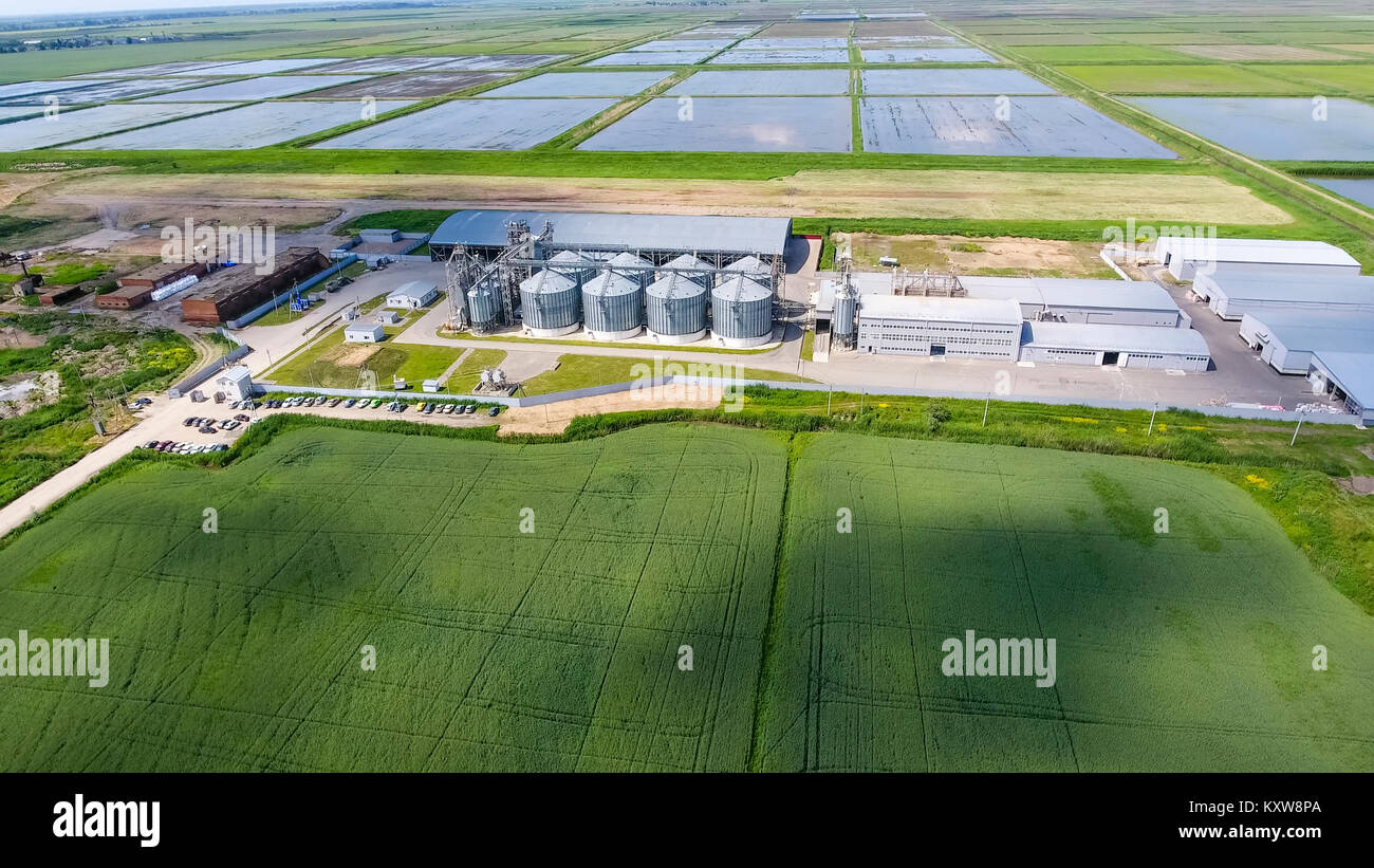 Plant for the drying and storage of grain. Rice plant in the middle of ...