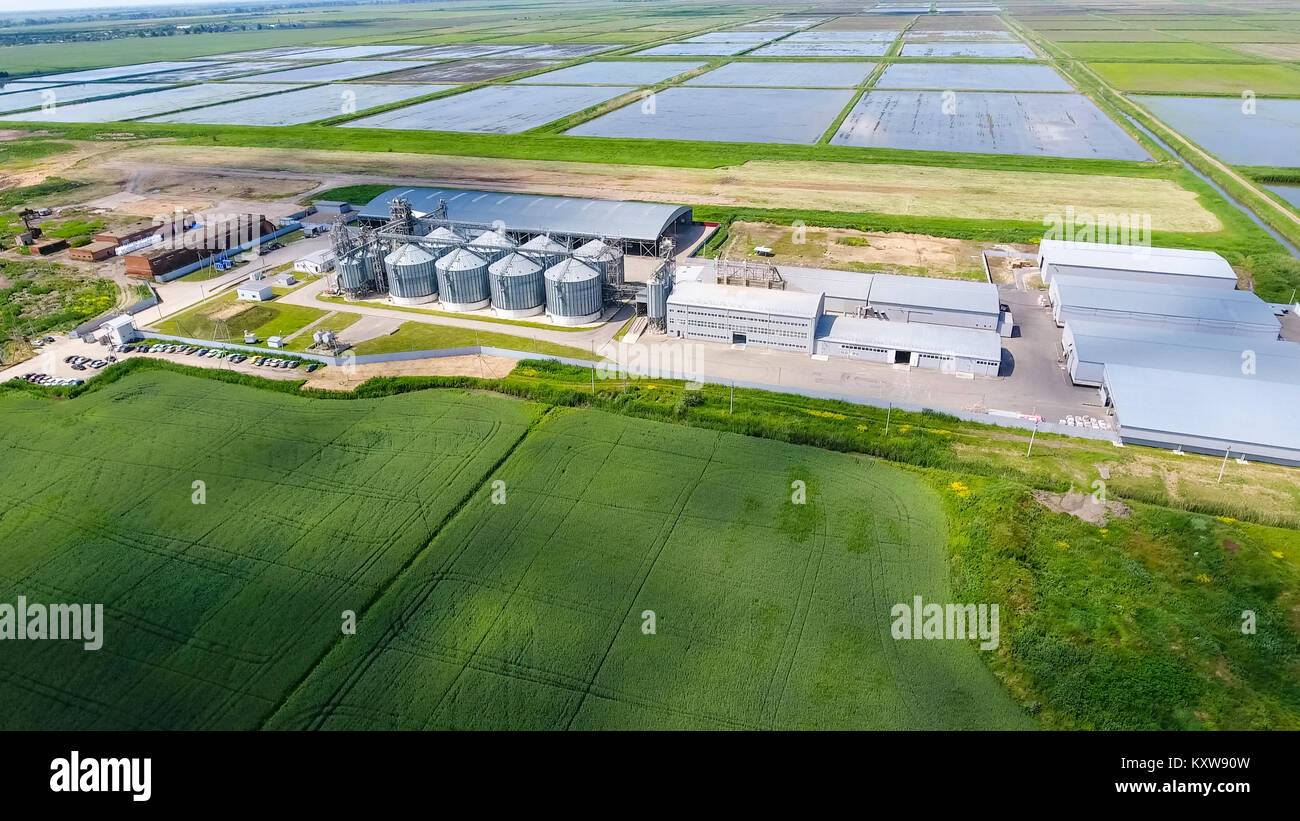 Plant for the drying and storage of grain. Rice plant in the middle of ...