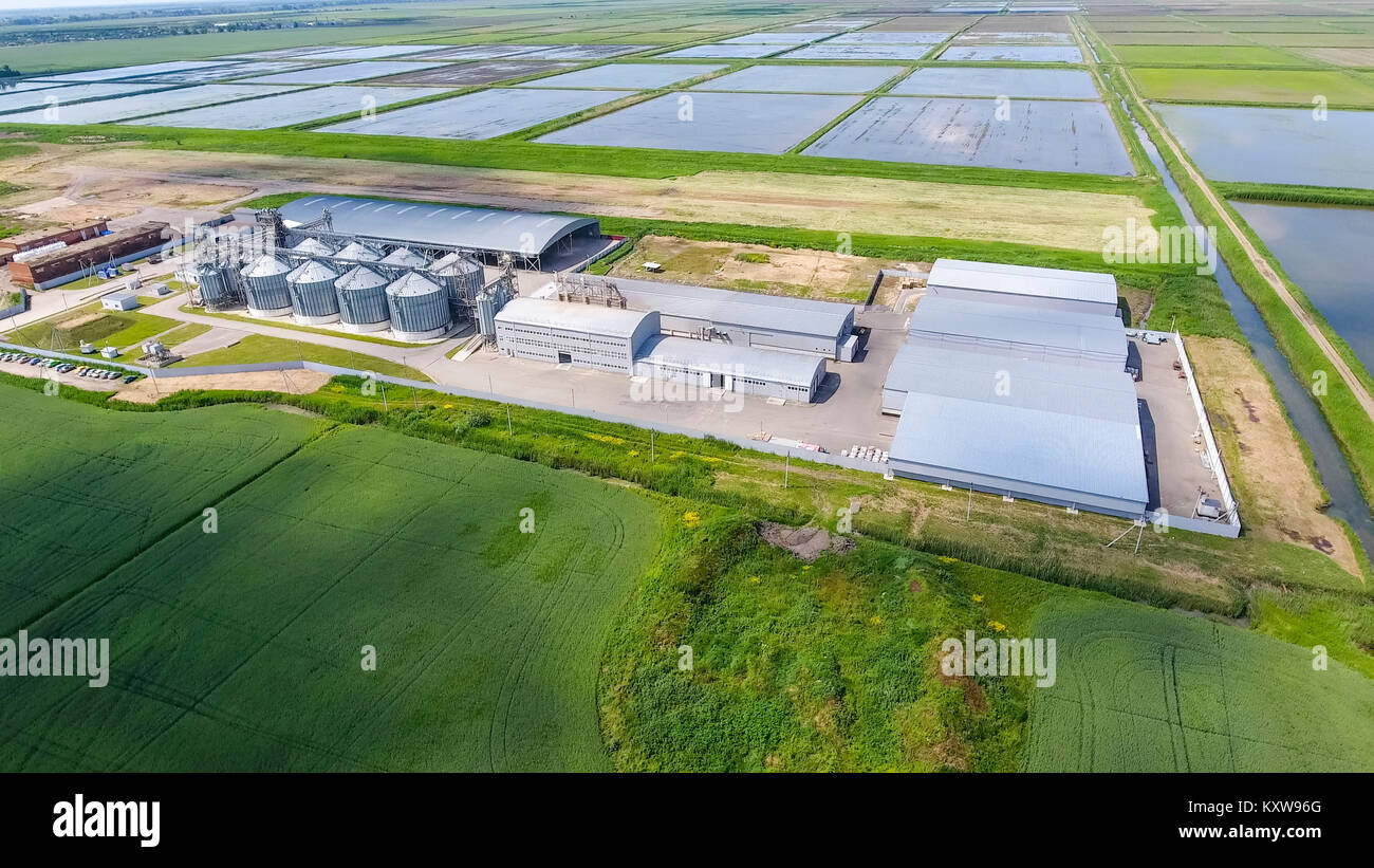 Plant for the drying and storage of grain. Rice plant in the middle of ...
