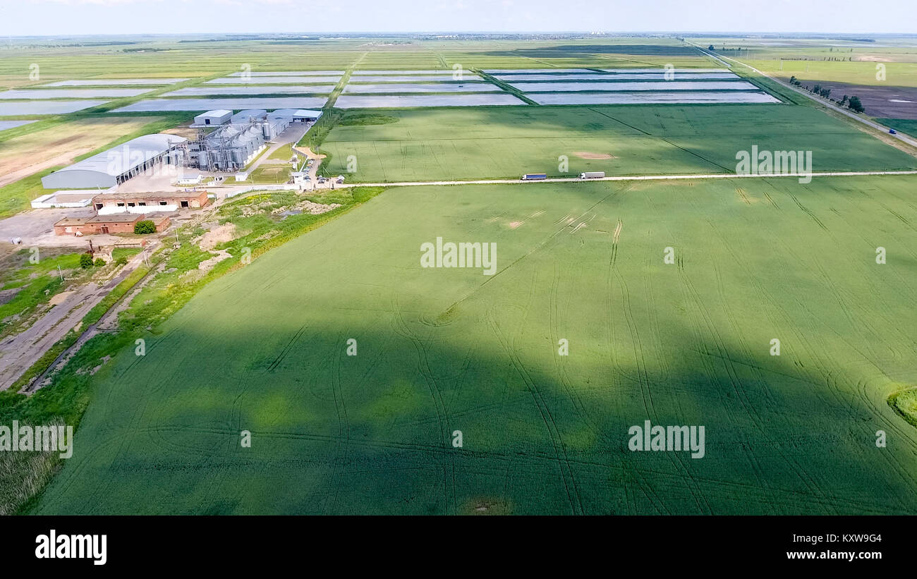 Plant for the drying and storage of grain. Rice plant in the middle of ...