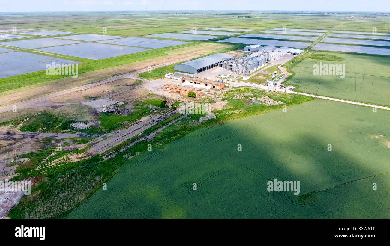 Plant for the drying and storage of grain. Rice plant in the middle of ...