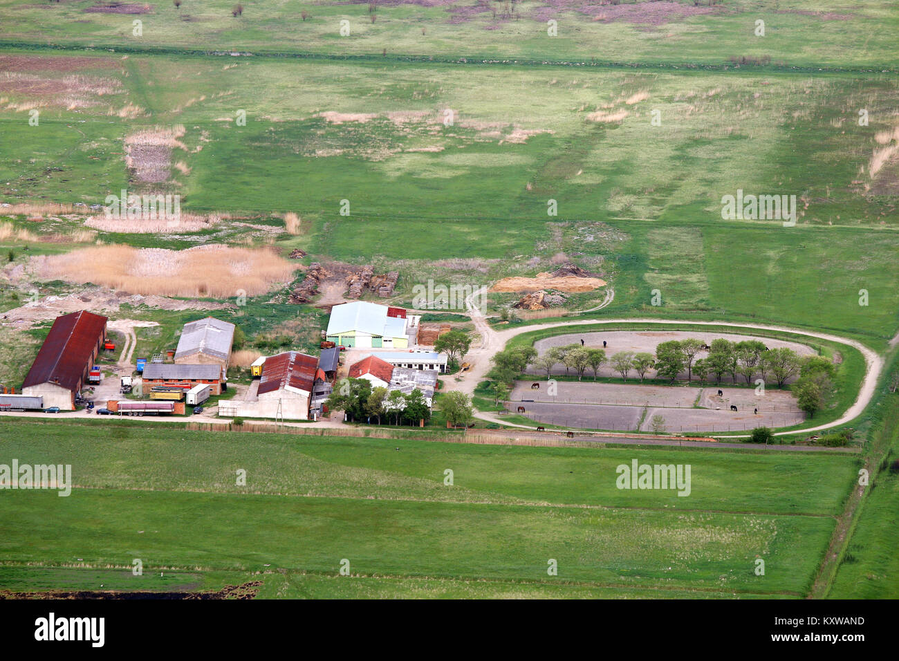 farm with horses aerial view Stock Photo - Alamy
