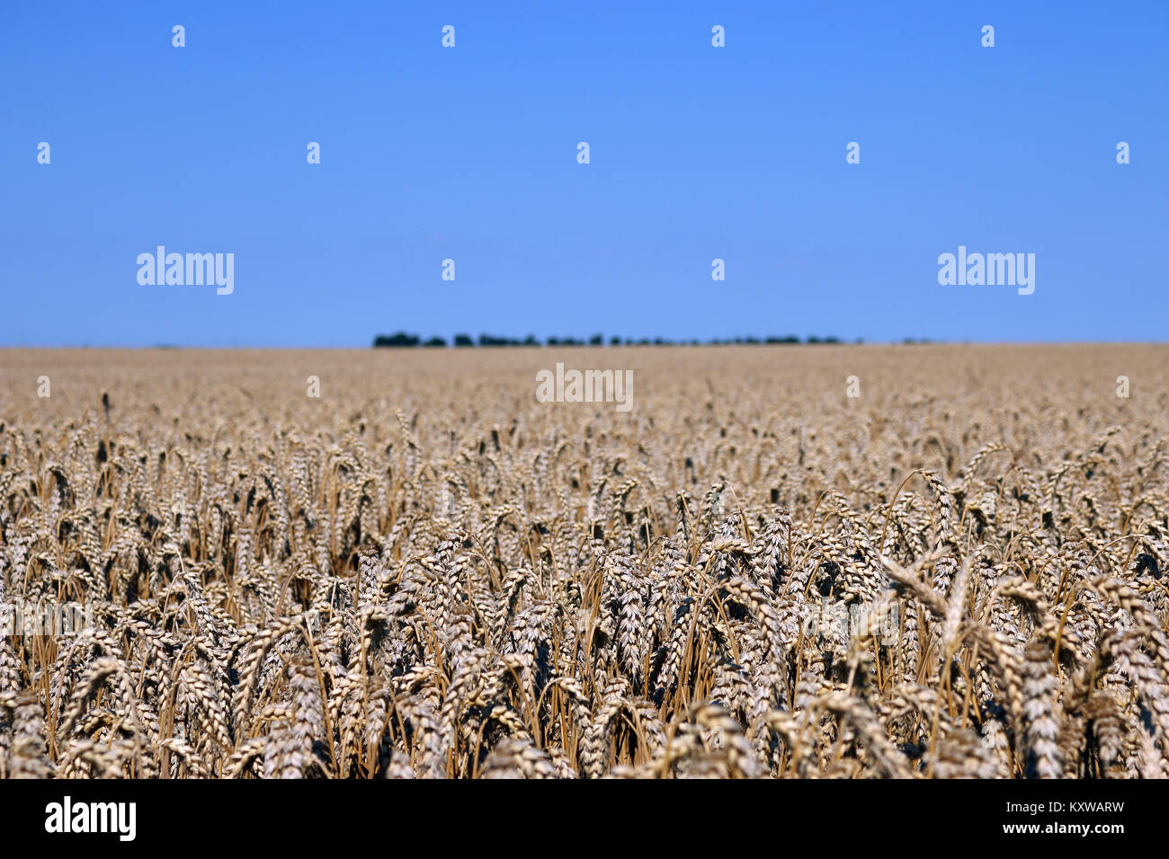 Summer season countryside hi-res stock photography and images - Alamy