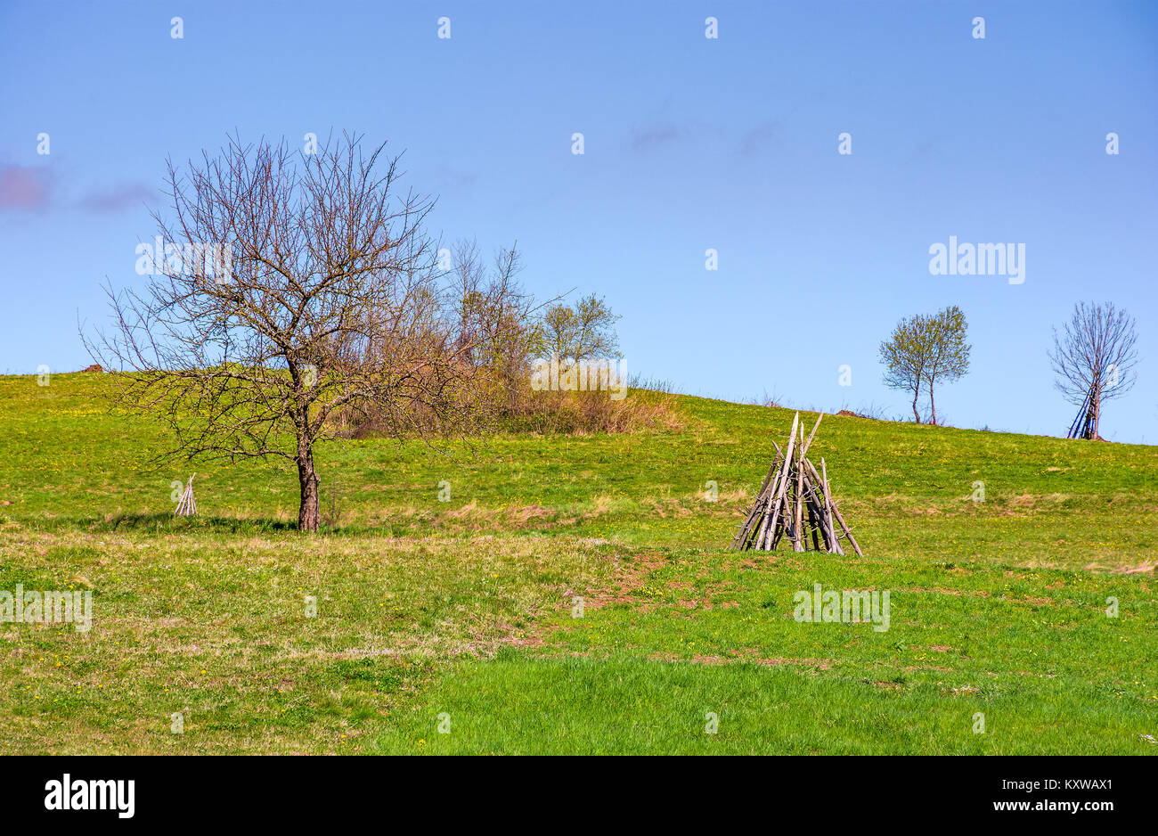 Grassy rural environment hi-res stock photography and images - Alamy