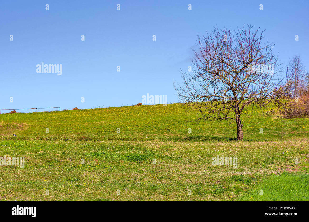 Grass grassy plain hi-res stock photography and images - Alamy
