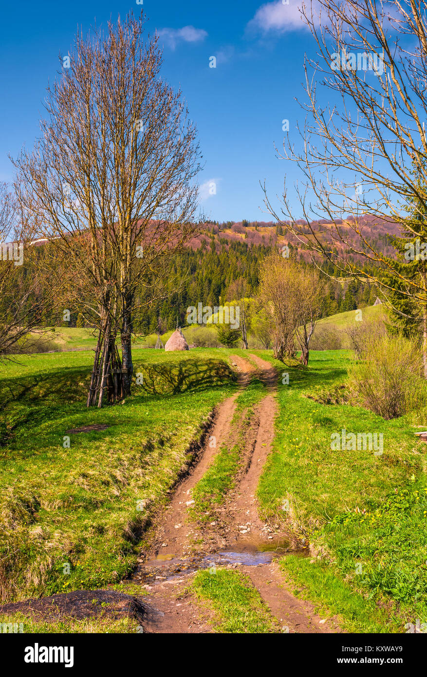 Dreamy area hi-res stock photography and images - Alamy