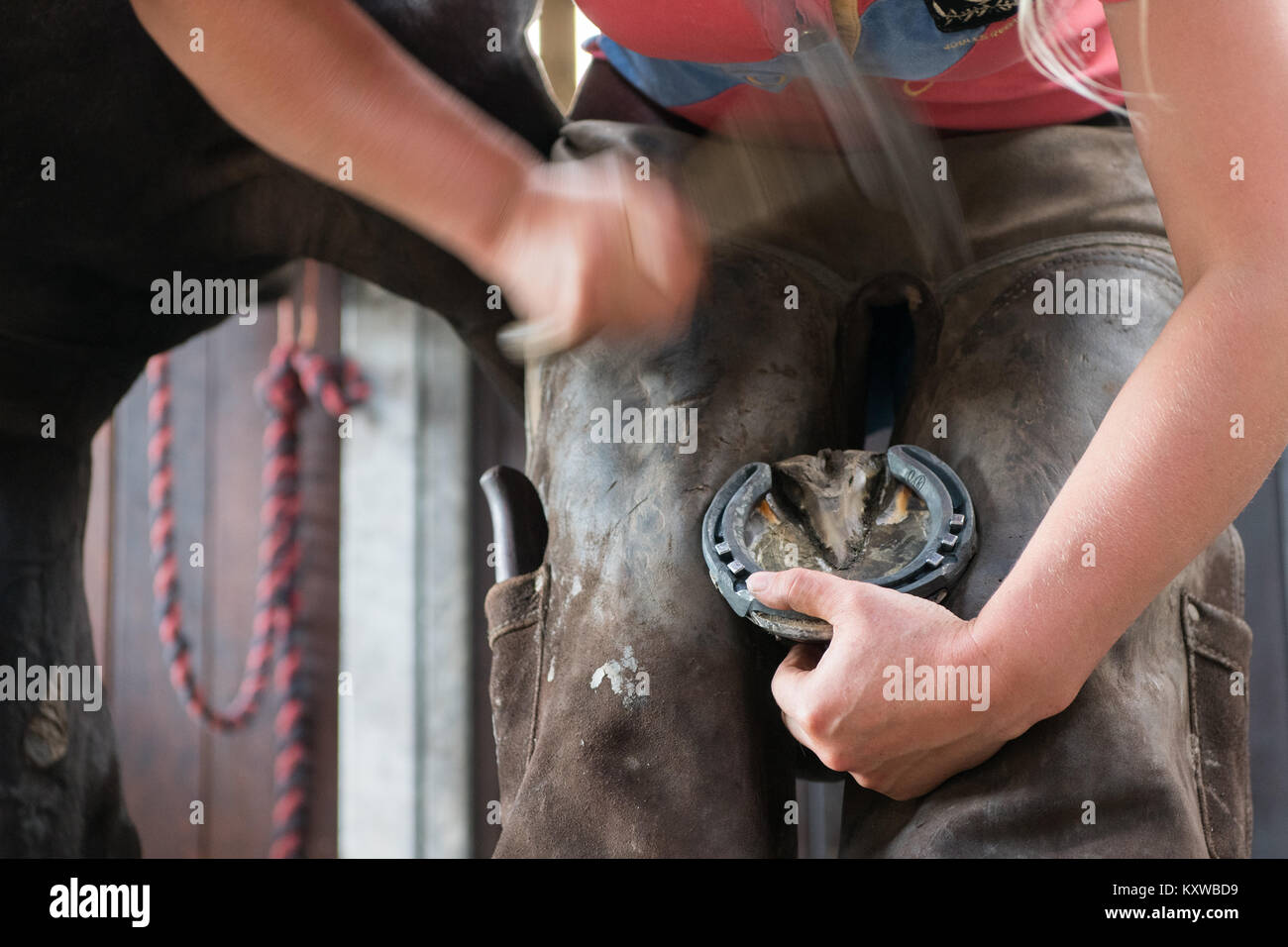 Farrier hot shoeing a horse, North Yorkshire, UK Stock Photo - Alamy