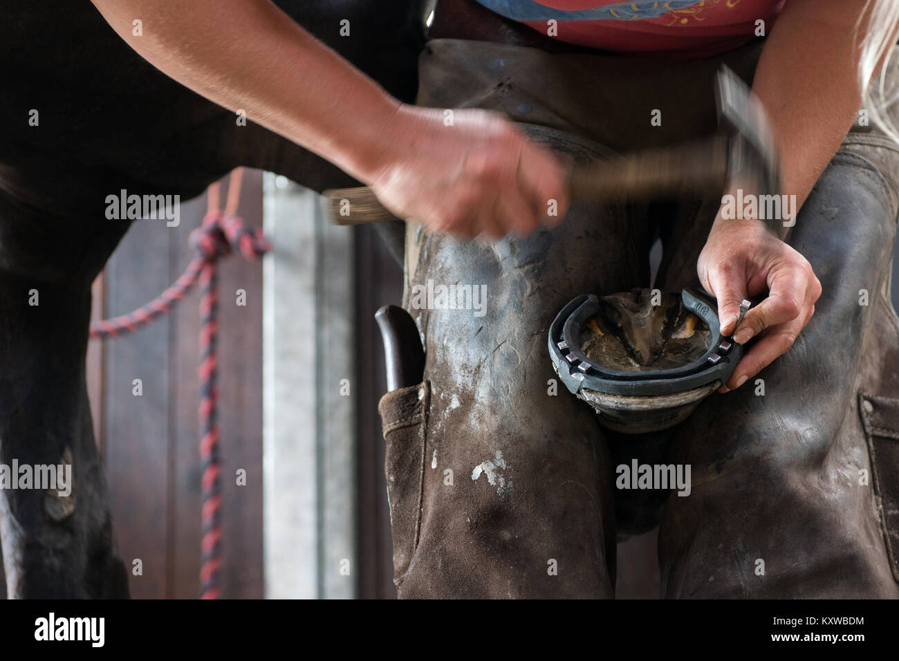Farrier hot shoeing a horse, North Yorkshire, UK Stock Photo - Alamy