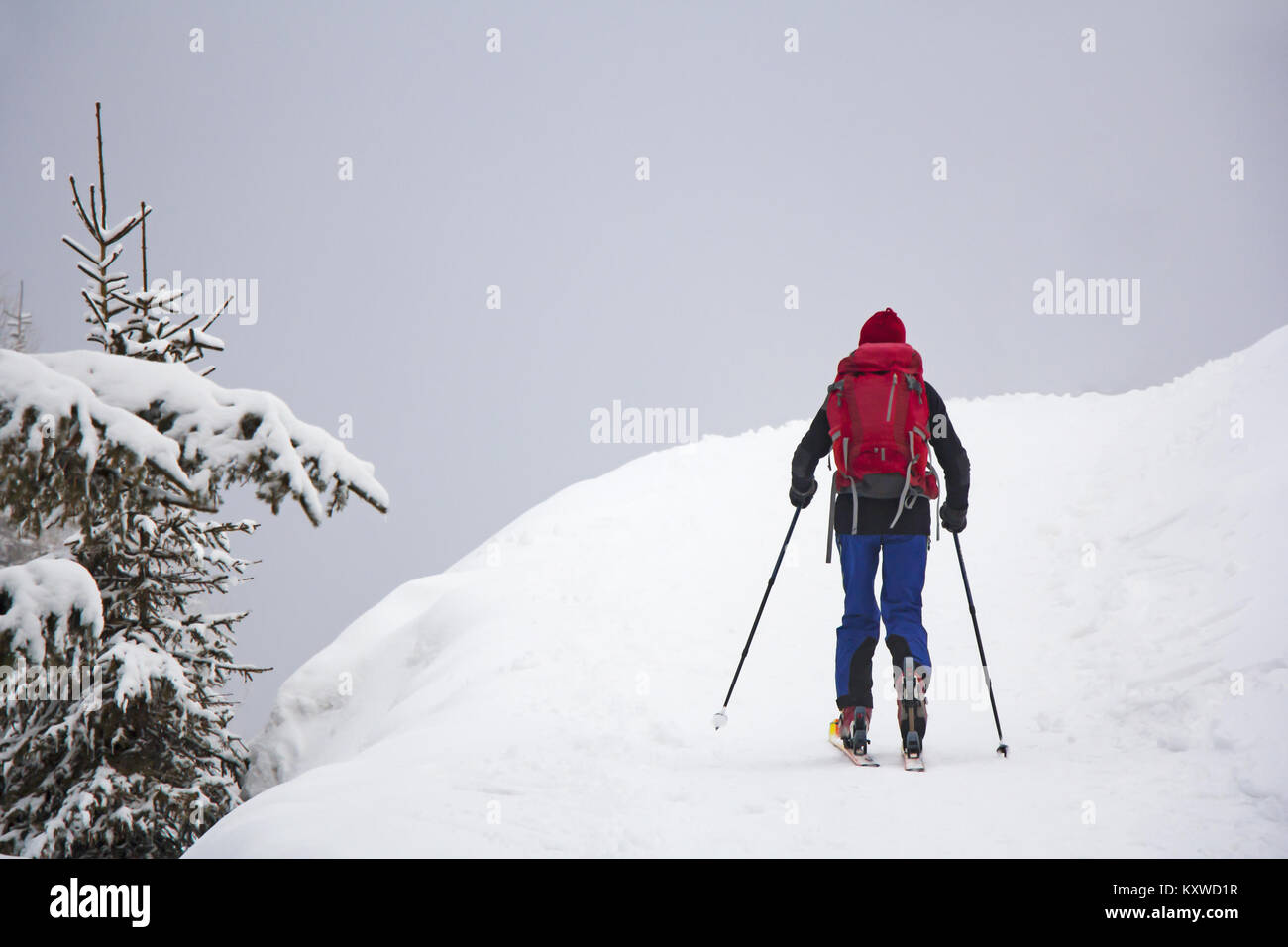 Walker with skis hi-res stock photography and images - Alamy