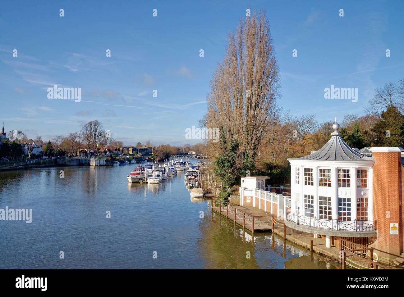 British elmbridge hi-res stock photography and images - Alamy