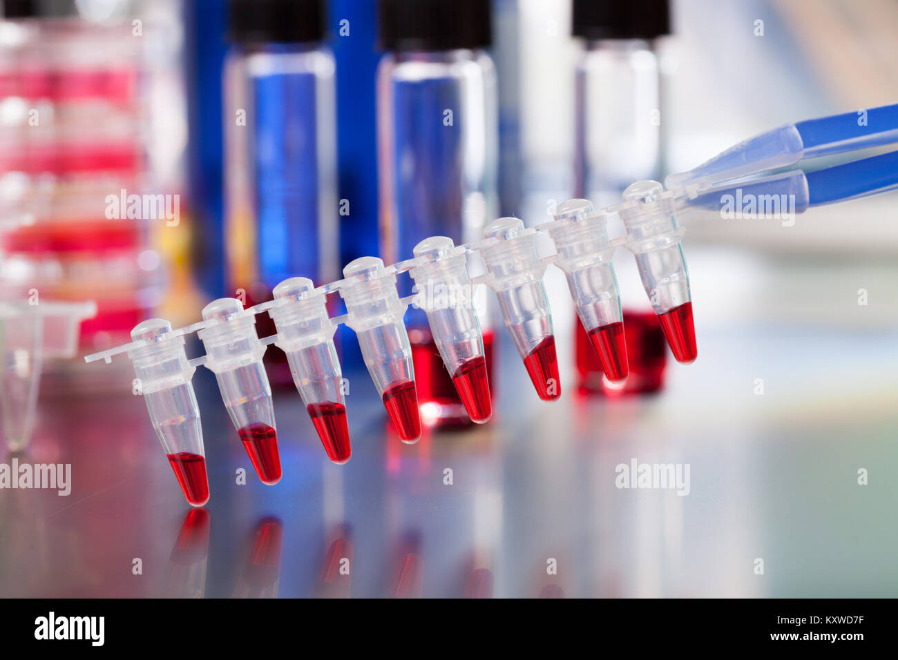 PCR micro tubes strips Stock Photo - Alamy