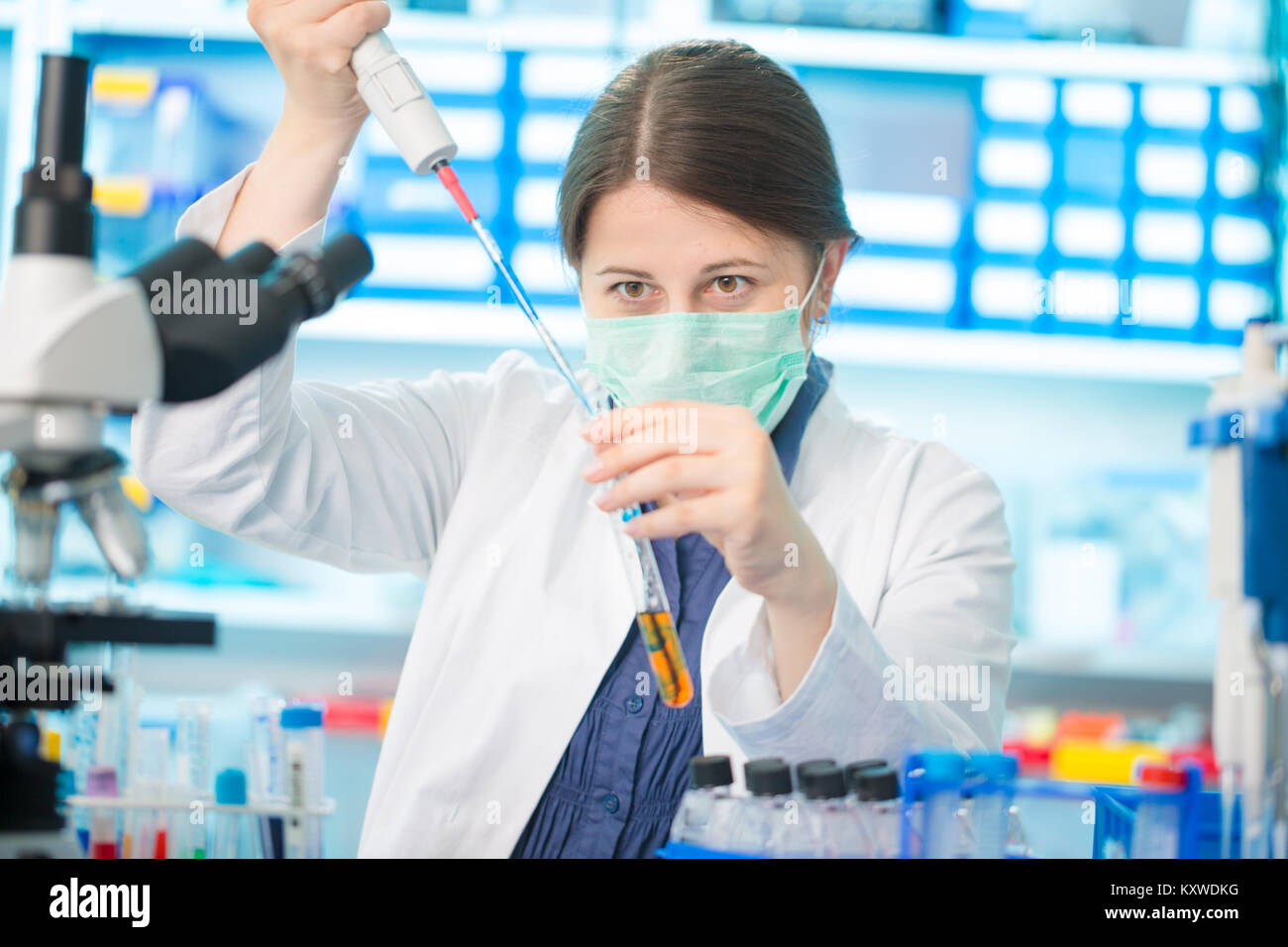 Girl laboratory assistant in the chemical laboratory of the university ...