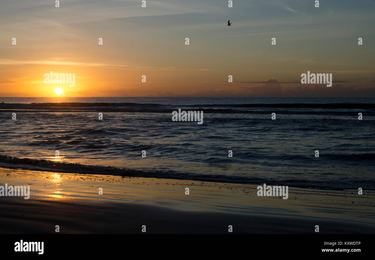 Early morning on Hilton Head Stock Photo - Alamy
