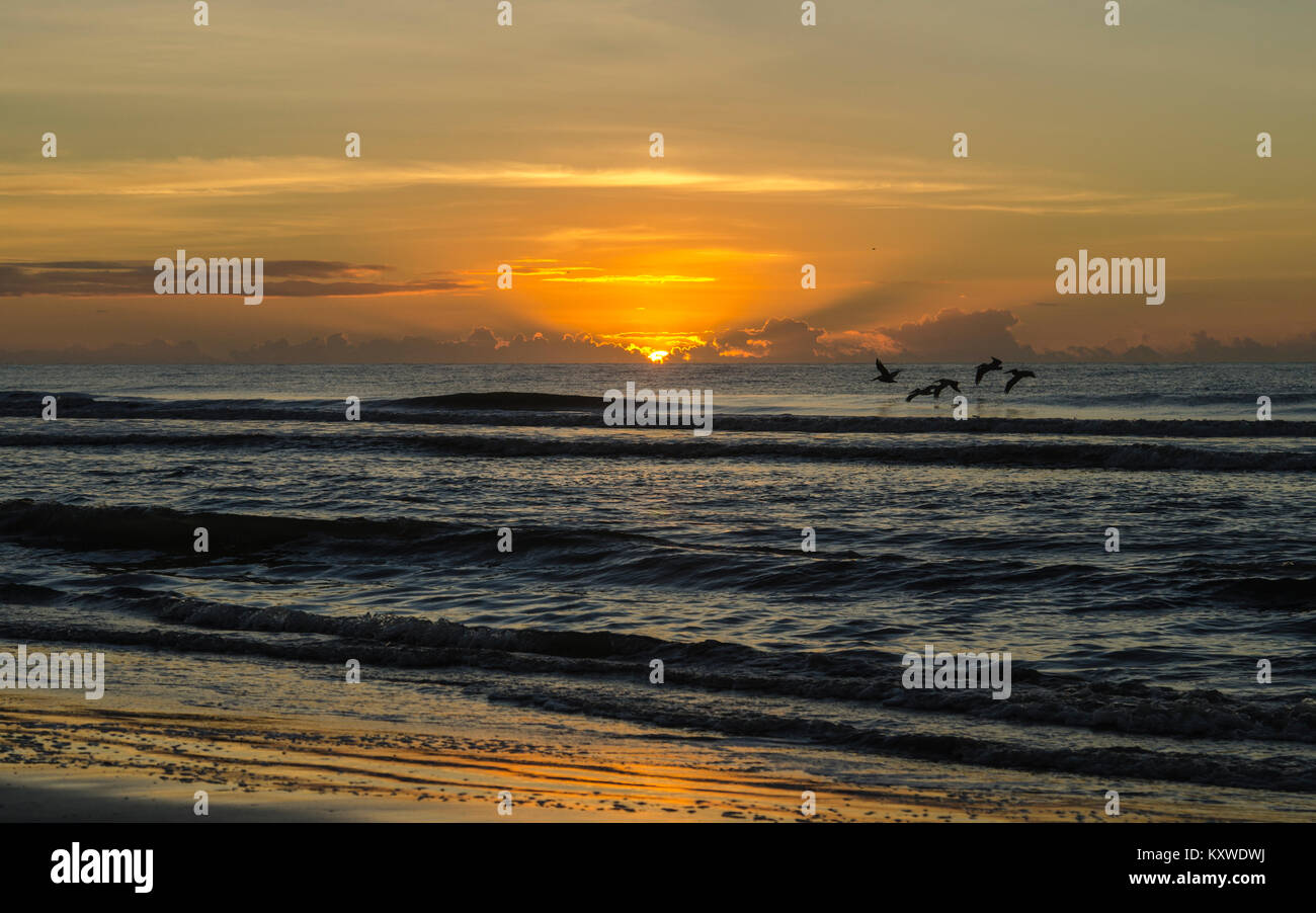 Early morning on Hilton Head Stock Photo - Alamy