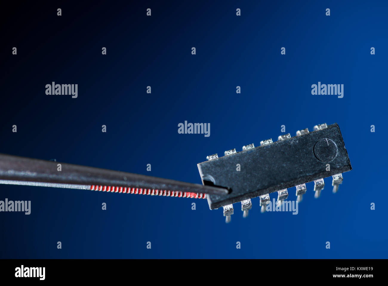 Electronic chip isolated on dark blue Stock Photo - Alamy