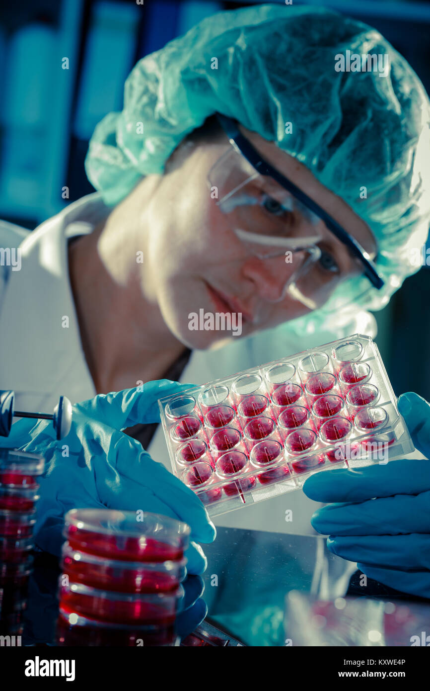 Cancer test lab hi-res stock photography and images - Alamy
