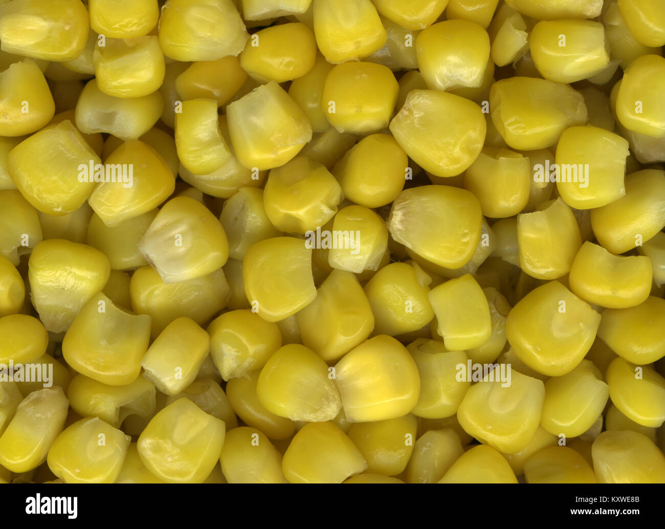 Yellow cut corn kernels close up Stock Photo - Alamy