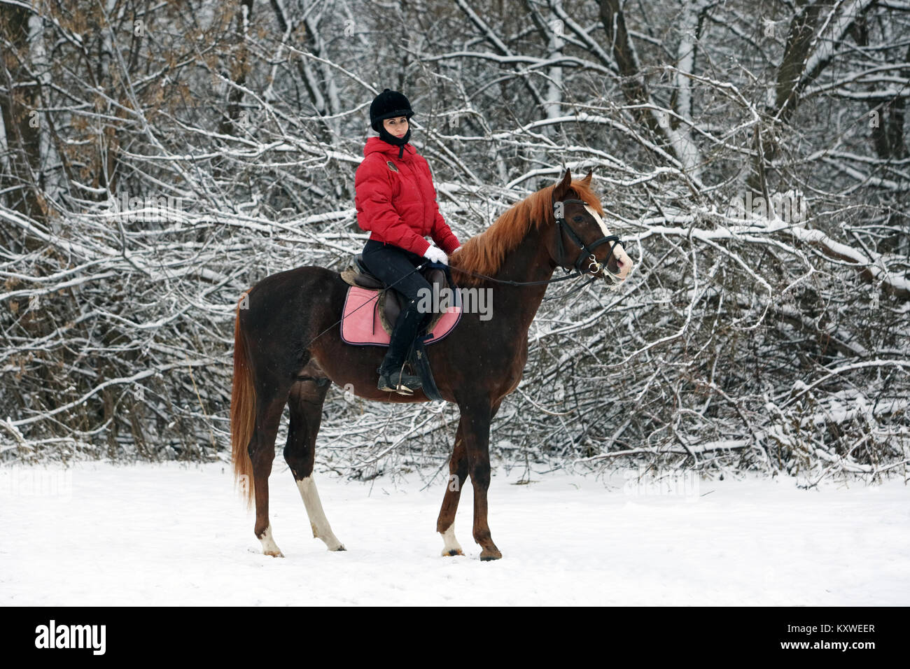 Pretty horse and girl hi-res stock photography and images - Alamy