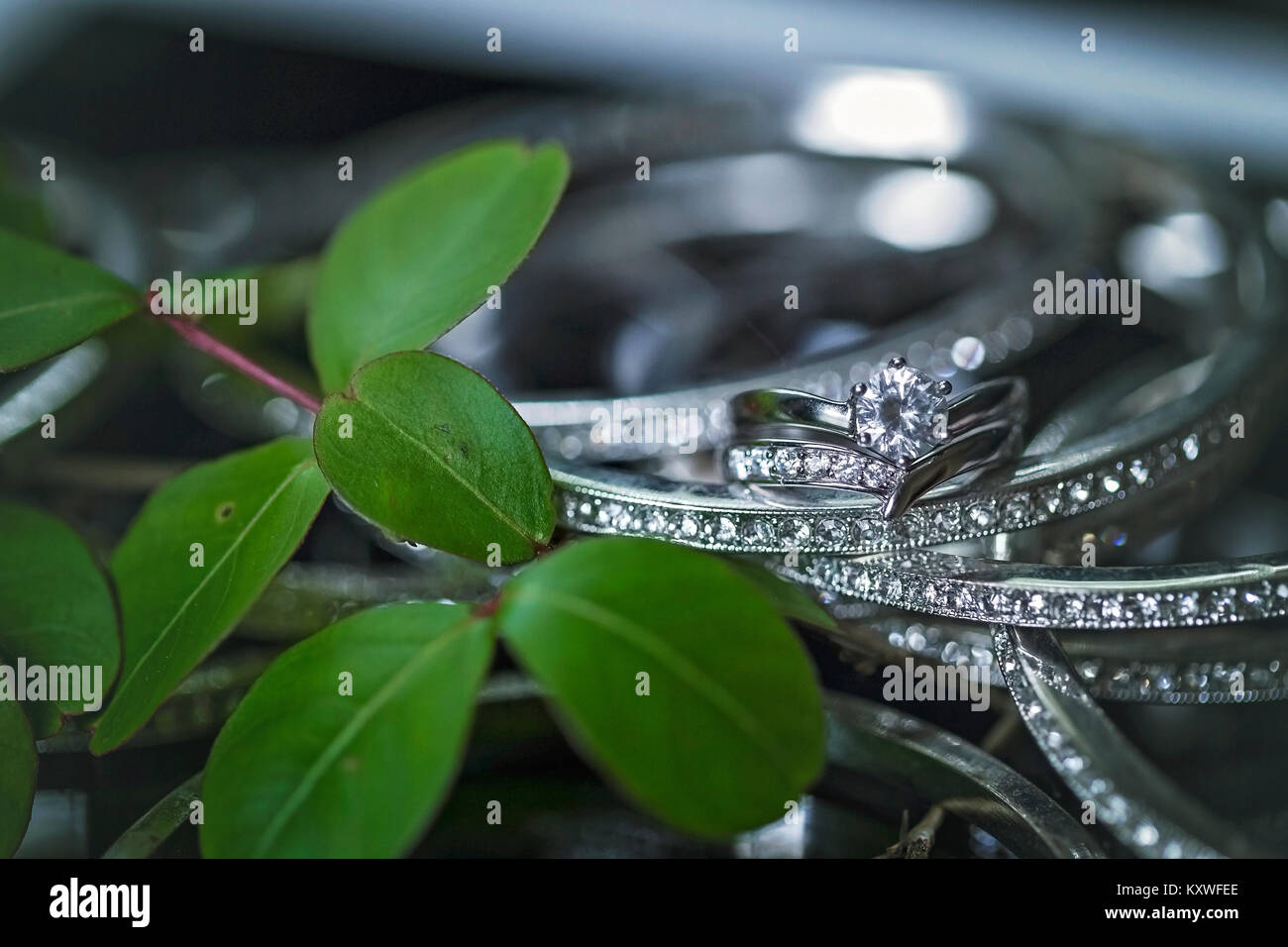 Ring of the plant hi-res stock photography and images - Alamy