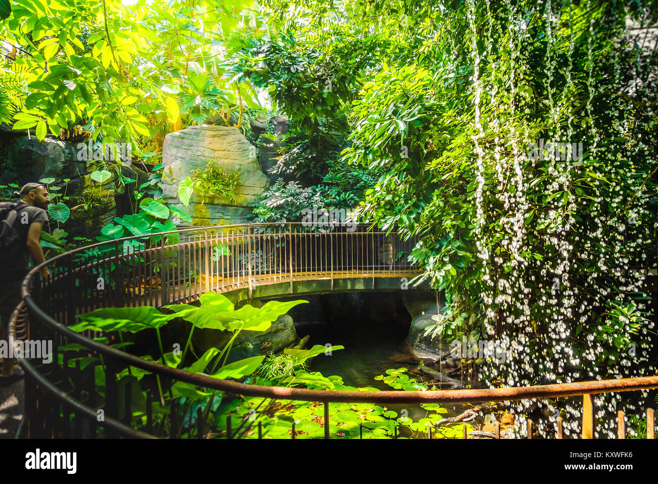 deep jungle walk waterfall adventurer man explorer artificial railing ...