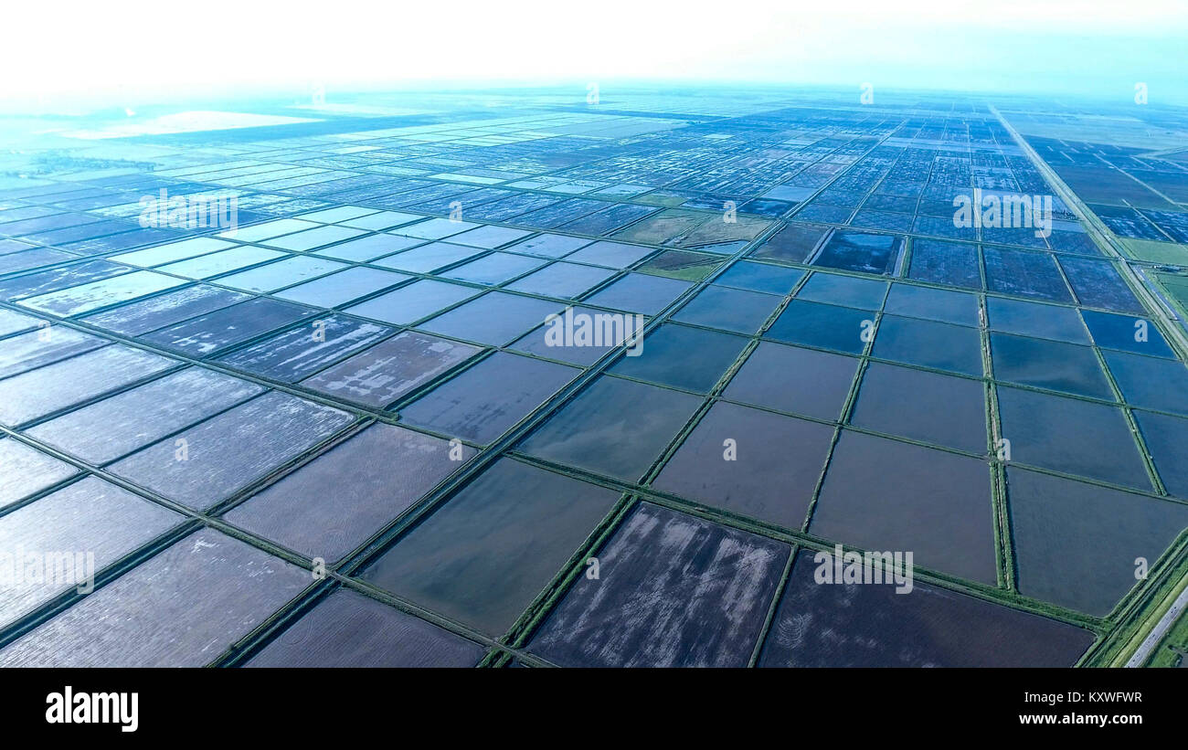 Flooded rice paddies. Agronomic methods of growing rice in the fields ...