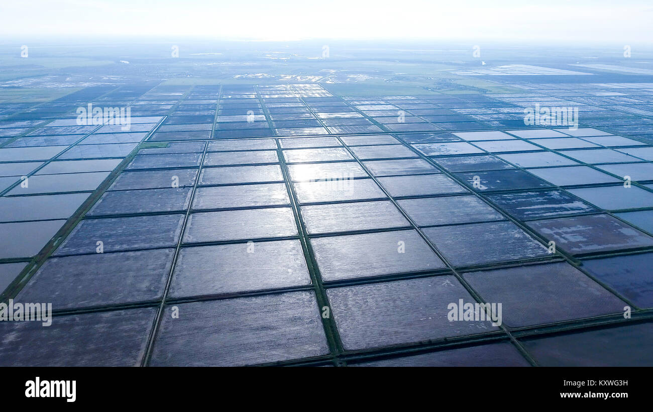 Flooded rice paddies. Agronomic methods of growing rice in the fields ...