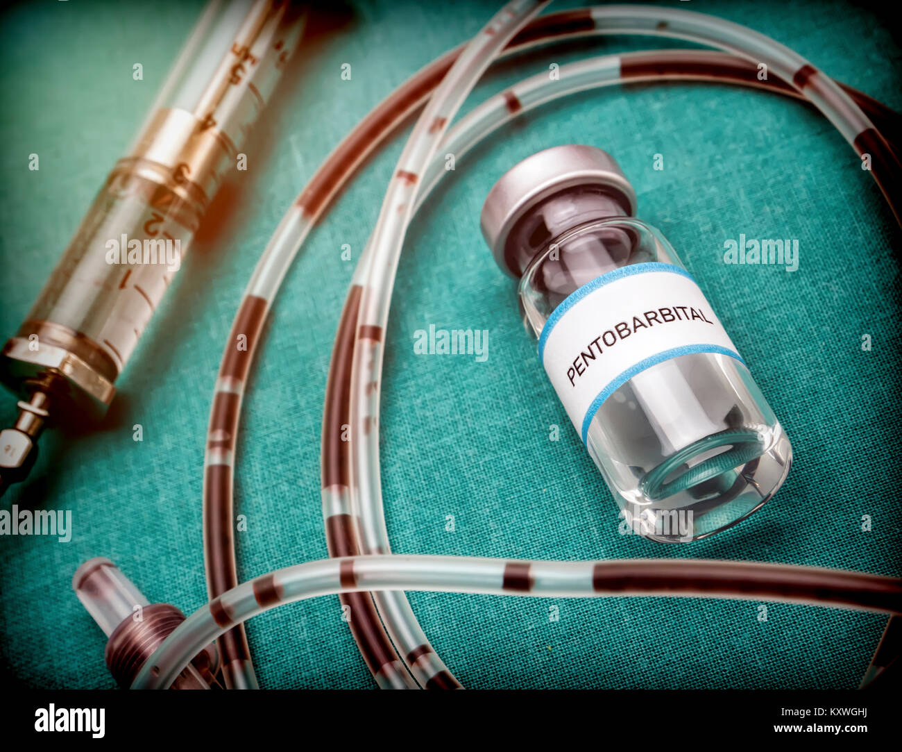 Vial With Pentobarbital Used For Euthanasia And Lethal Inyecion In A ...
