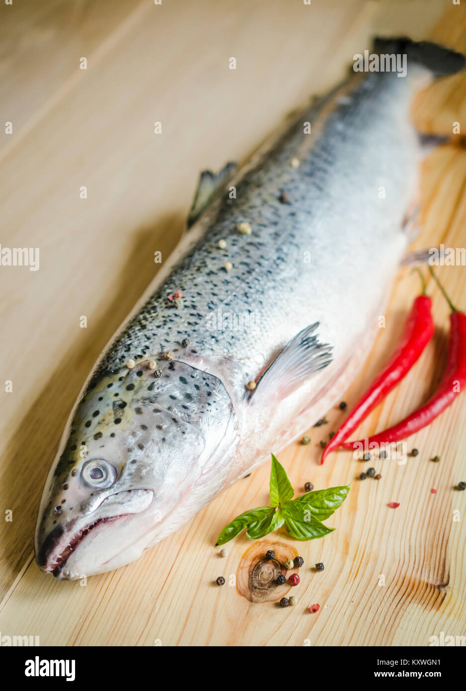 Atlantic Salmon whole fish Stock Photo - Alamy