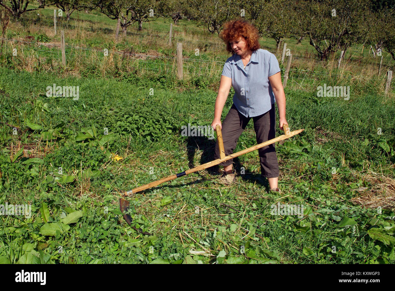 Woman scything at Tinkers Bubble, Somerset Stock Photo - Alamy