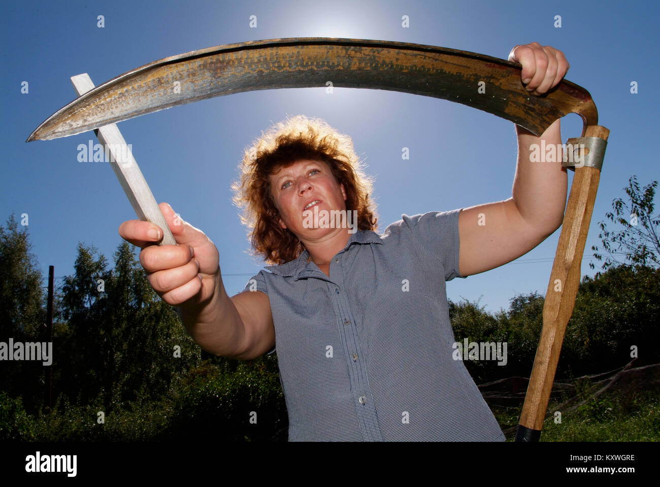 Woman scything at Tinkers Bubble, Somerset Stock Photo - Alamy
