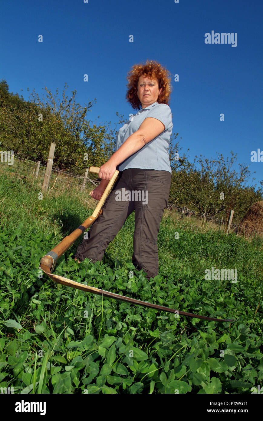 Woman scything at Tinkers Bubble, Somerset Stock Photo - Alamy